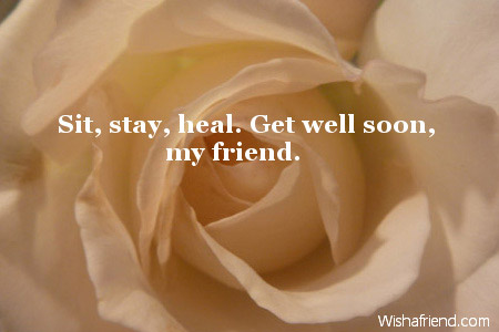 Sit, stay, heal. Get well soon,, Get Well Wish